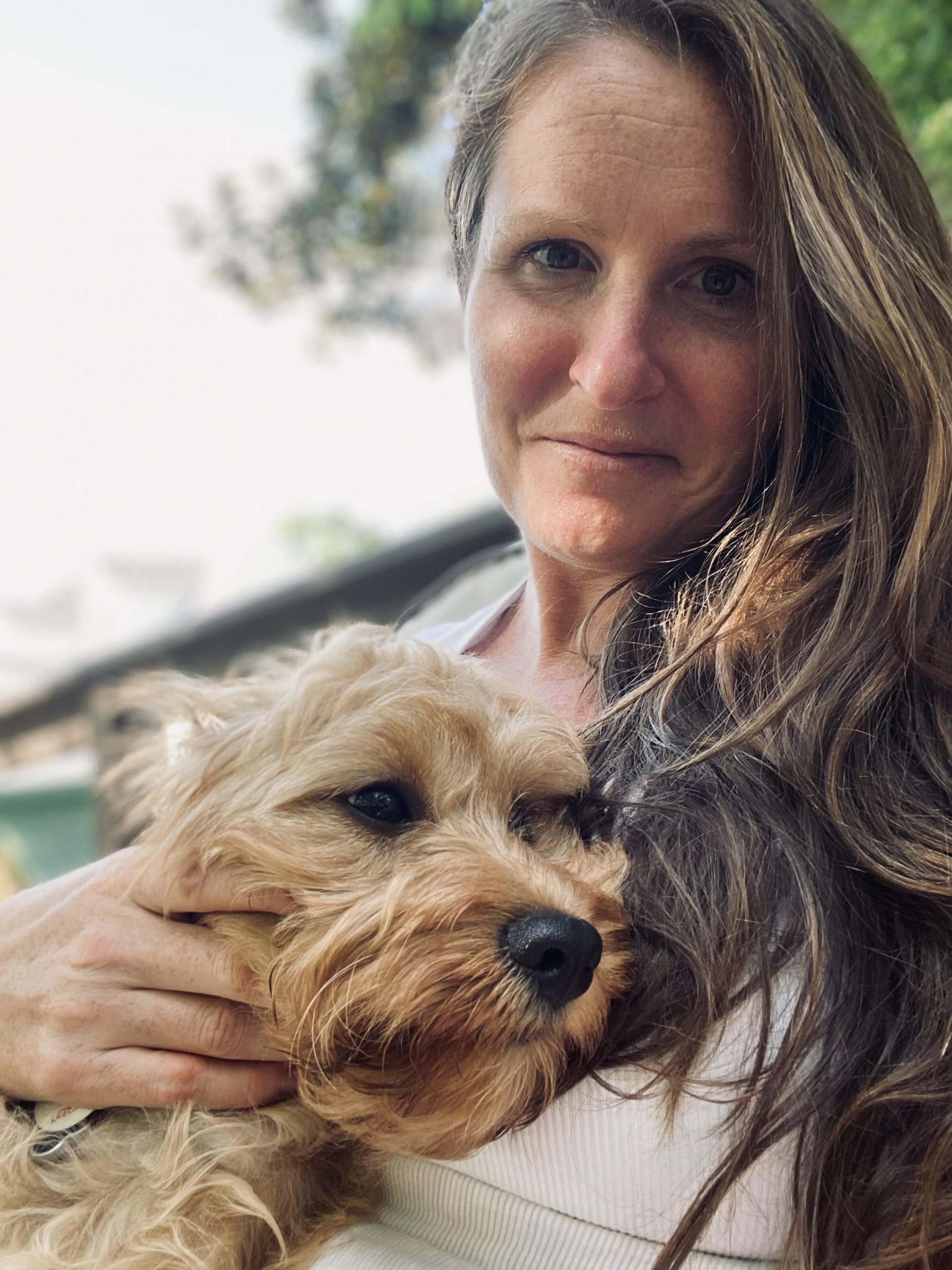 Board of Directors – VaHomeschoolers